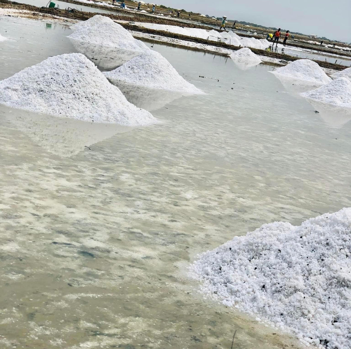 Authentic Celtic salt - hand harvested Natural dried salt - 100% Certi ...